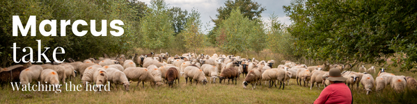 Marcus Take - Nothing going right today - Marcus Today